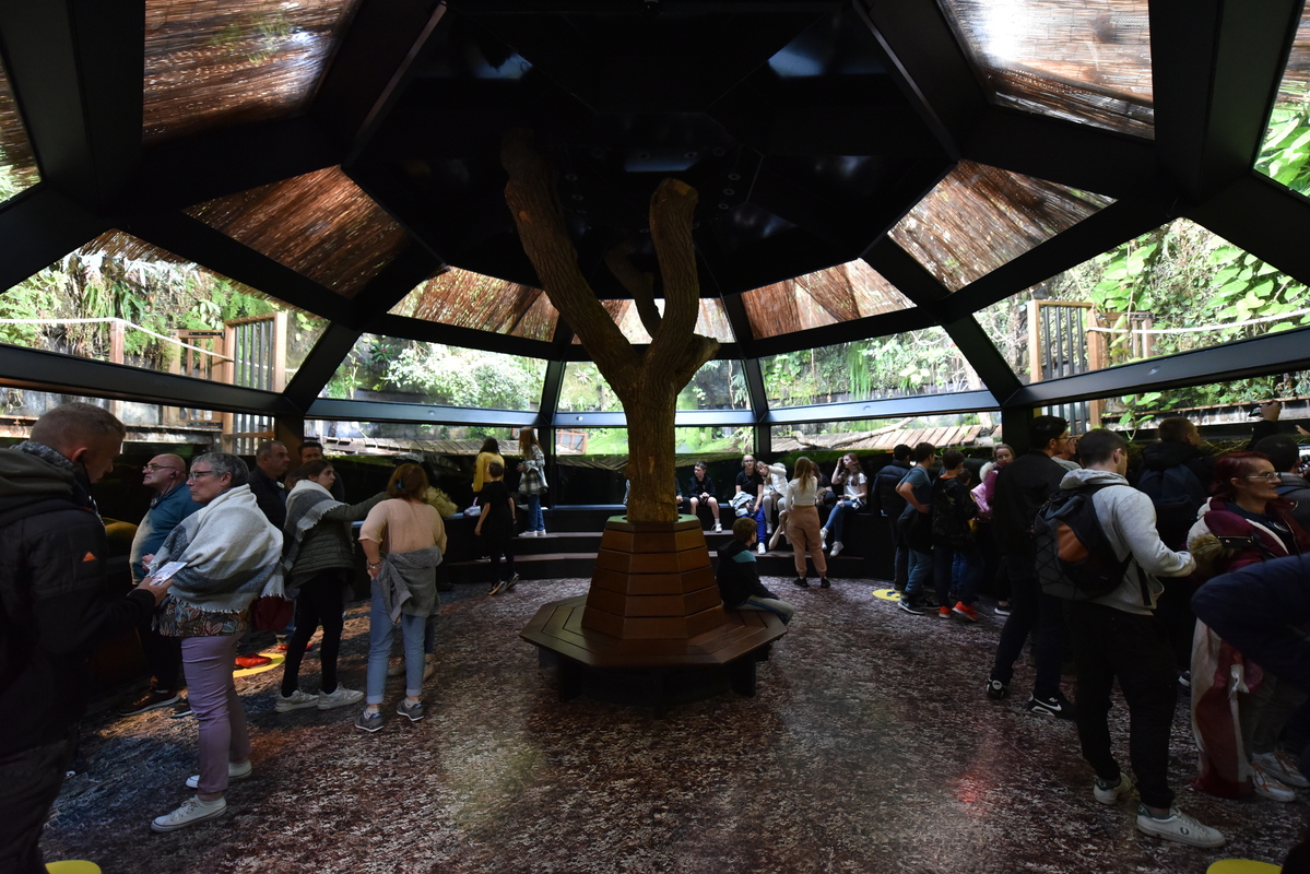 Nausicaa et côte d’Opale – Le site Web du CSDM