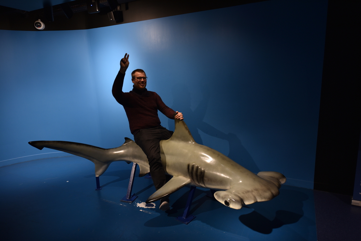 Nausicaa et côte d’Opale – Le site Web du CSDM