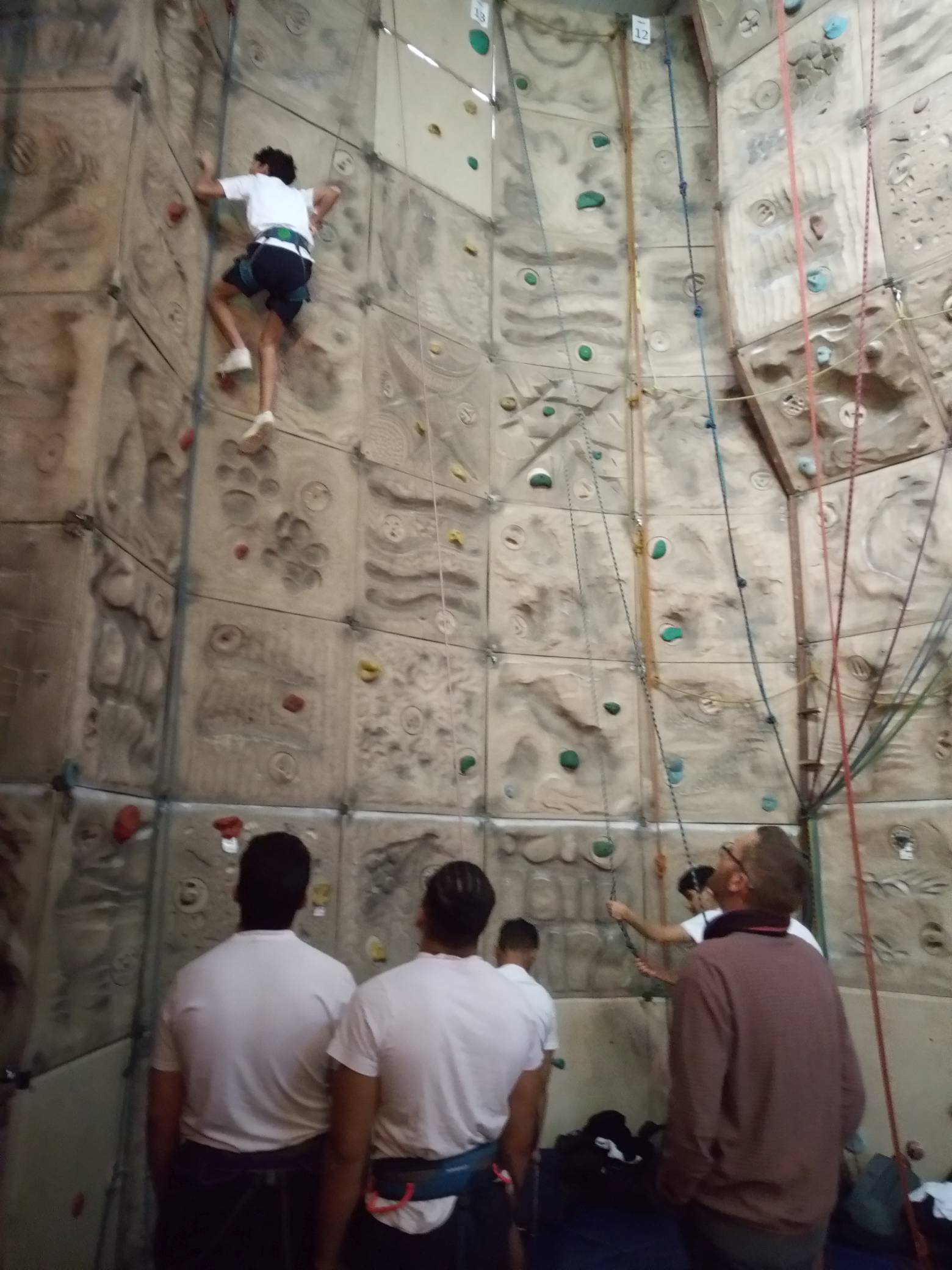 Cycle Escalade pour les 6e années – Le site Web du CSDM